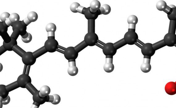 BIOFORGE - GRUPO DE MATERIALES AVANZADOS Y NANOBIOTECNOLOGÍA